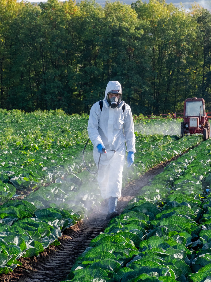 Pesticides Training: Guidance on Where to Begin | ProGreen