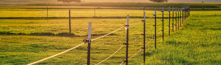 Paddock & Pasture Fertiliser | For Grazing & Foraging | ProGreen