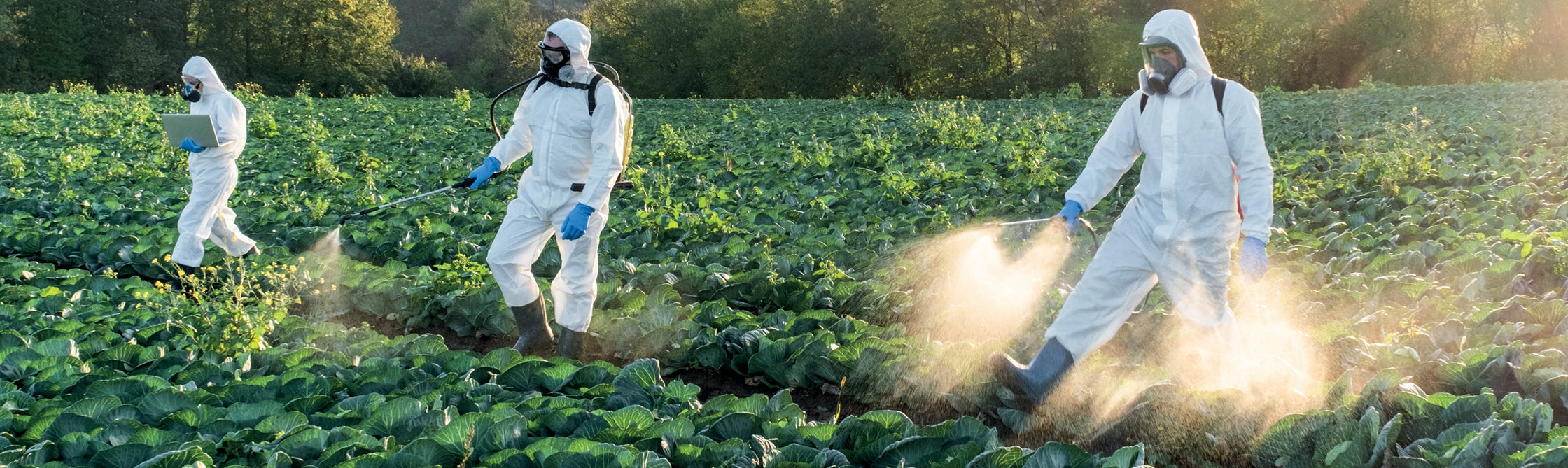 Safety Clothing | Pesticide Protective Clothing | ProGreen