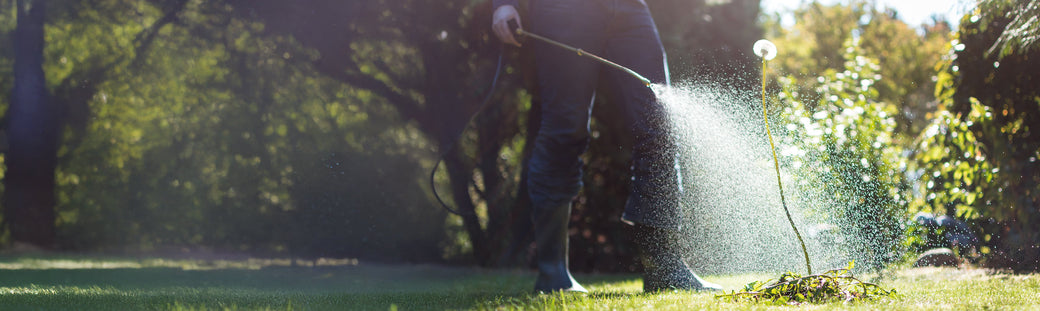 Weed Control | Find Your Solution | ProGreen