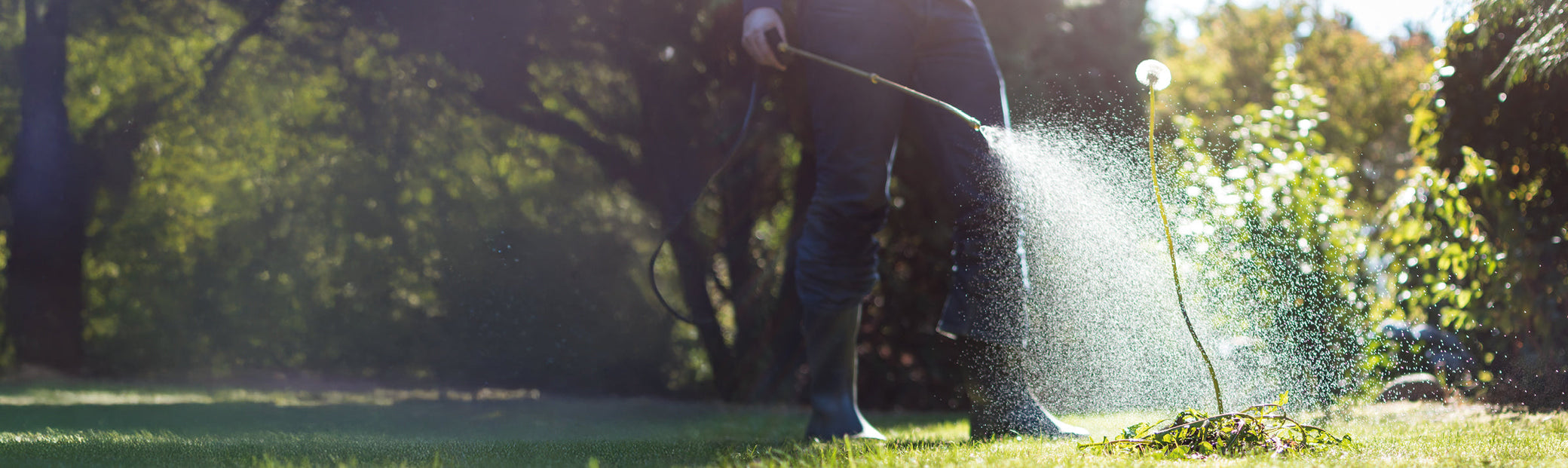 Weed Control | Find Your Solution | ProGreen