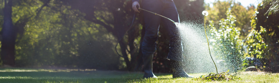 Selective Weed Control | Shop Online | ProGreen