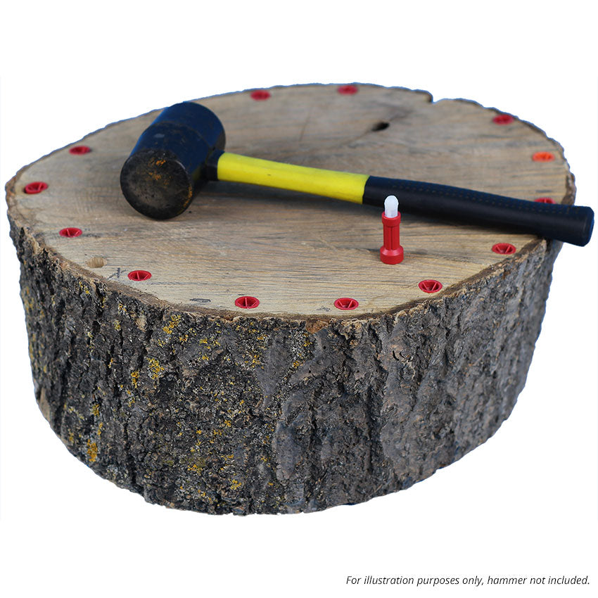 Ecoplug Max 100 Plugs | Prevent Tree Stump Regrowth | ProGreen